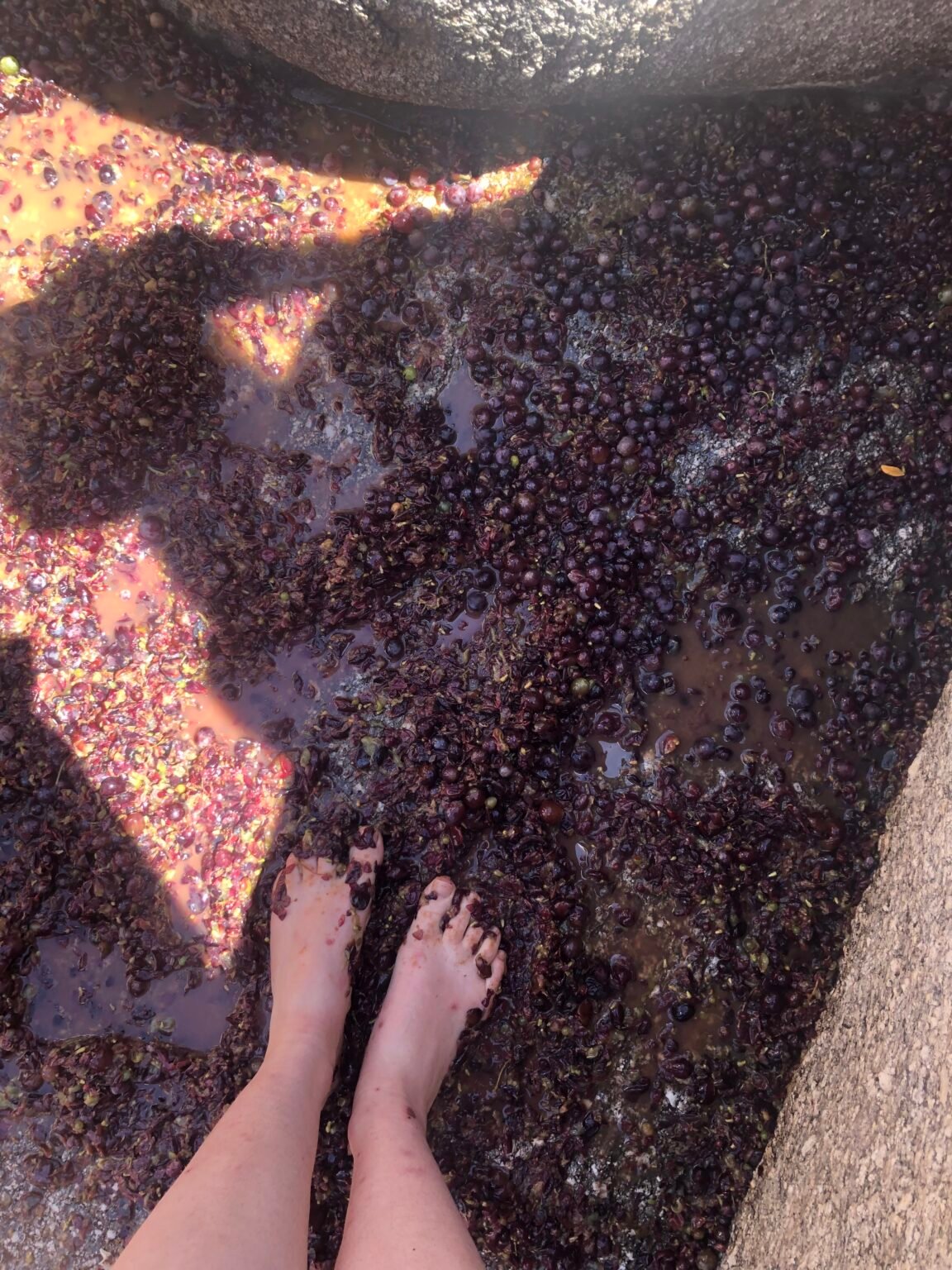 Why is Ikaria, Greece a Blue Zone? What the Heck is a Blue Zone Anyway ...